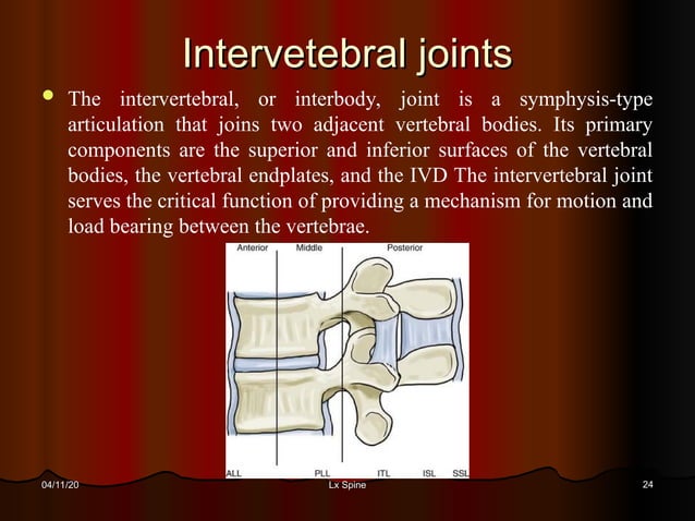 Lumbar Spnine: Anatomy, Biomechanics and Pathomechanics | PDF