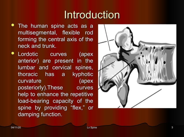 Lumbar Spnine: Anatomy, Biomechanics and Pathomechanics | PDF