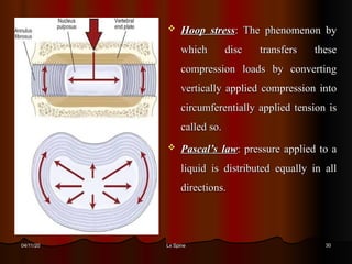 Lumbar Spnine: Anatomy, Biomechanics and Pathomechanics | PDF