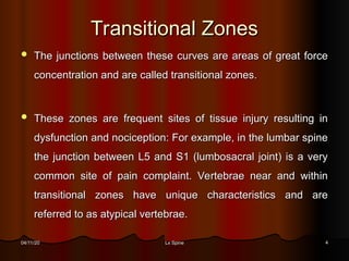 Lumbar Spnine: Anatomy, Biomechanics and Pathomechanics | PDF