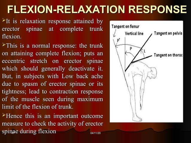 Lumbar Spnine: Anatomy, Biomechanics and Pathomechanics | PDF