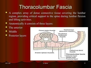 Lumbar Spnine: Anatomy, Biomechanics and Pathomechanics | PPT