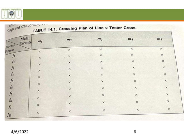LINE X TESTER ANALYSIS | PPT