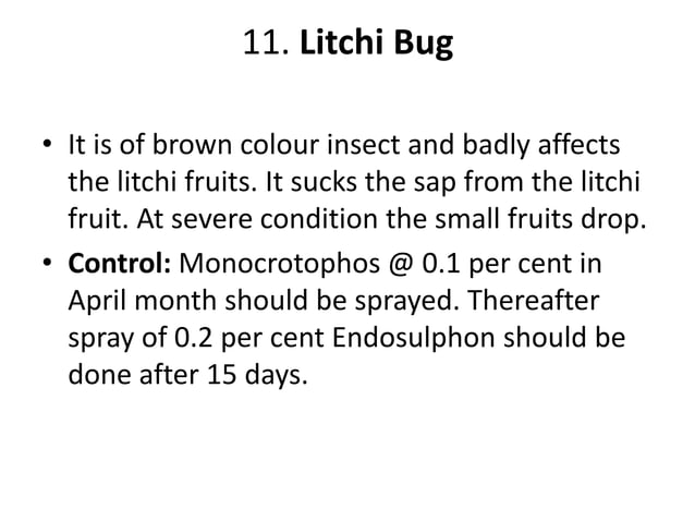 Lychee insects A Lecture To ToT trainees ( FFS) By Mr. Allah Dad Khan ...