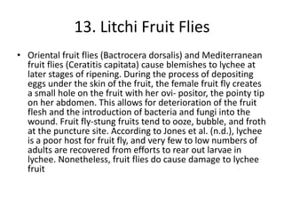 Lychee insects A Lecture To ToT trainees ( FFS) By Mr. Allah Dad Khan ...