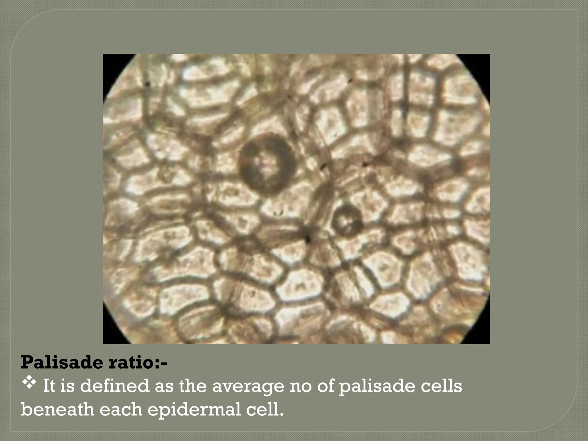 Evaluation of crude drugs by using lycopodium spore method ...