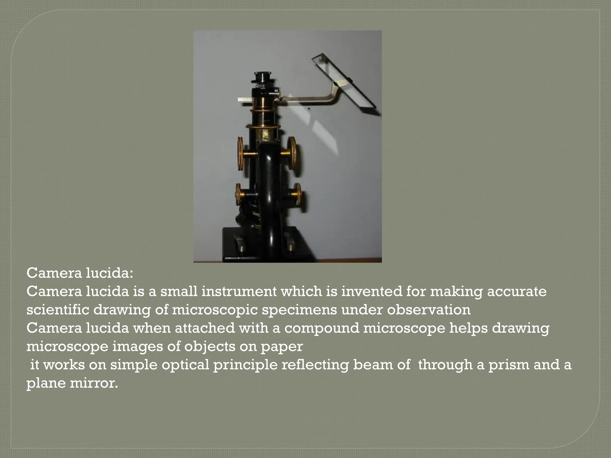 Evaluation of crude drugs by using lycopodium spore method ...