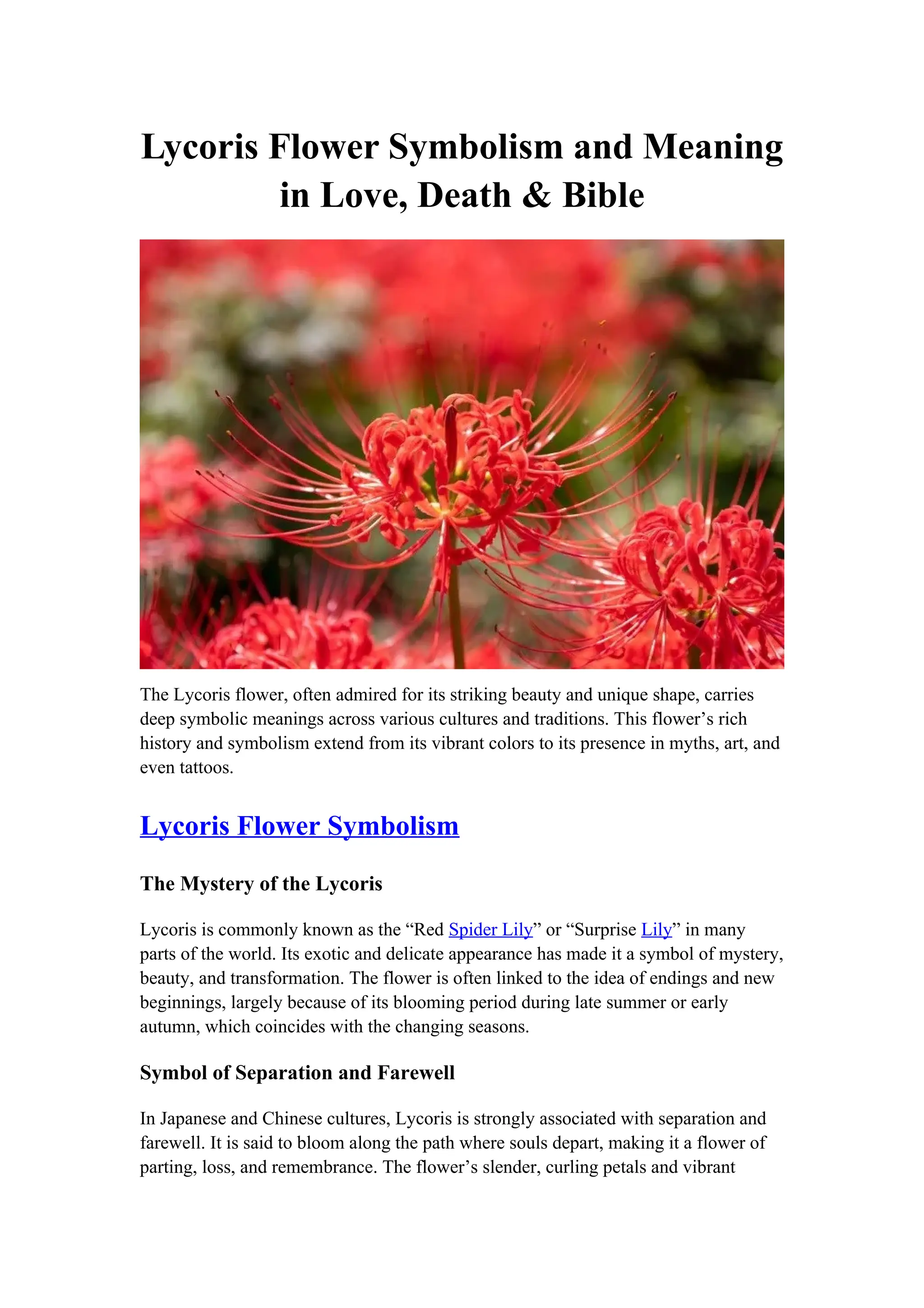 Lycoris Flower Symbolism and Meaning in Love, Death & Bible.docx
