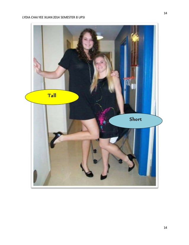 Lydia chai yee xuan individual report | PDF