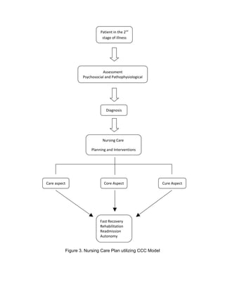 Nursing Theory: The Care Core and Cure Model of Nursing by Lydia hall | DOC