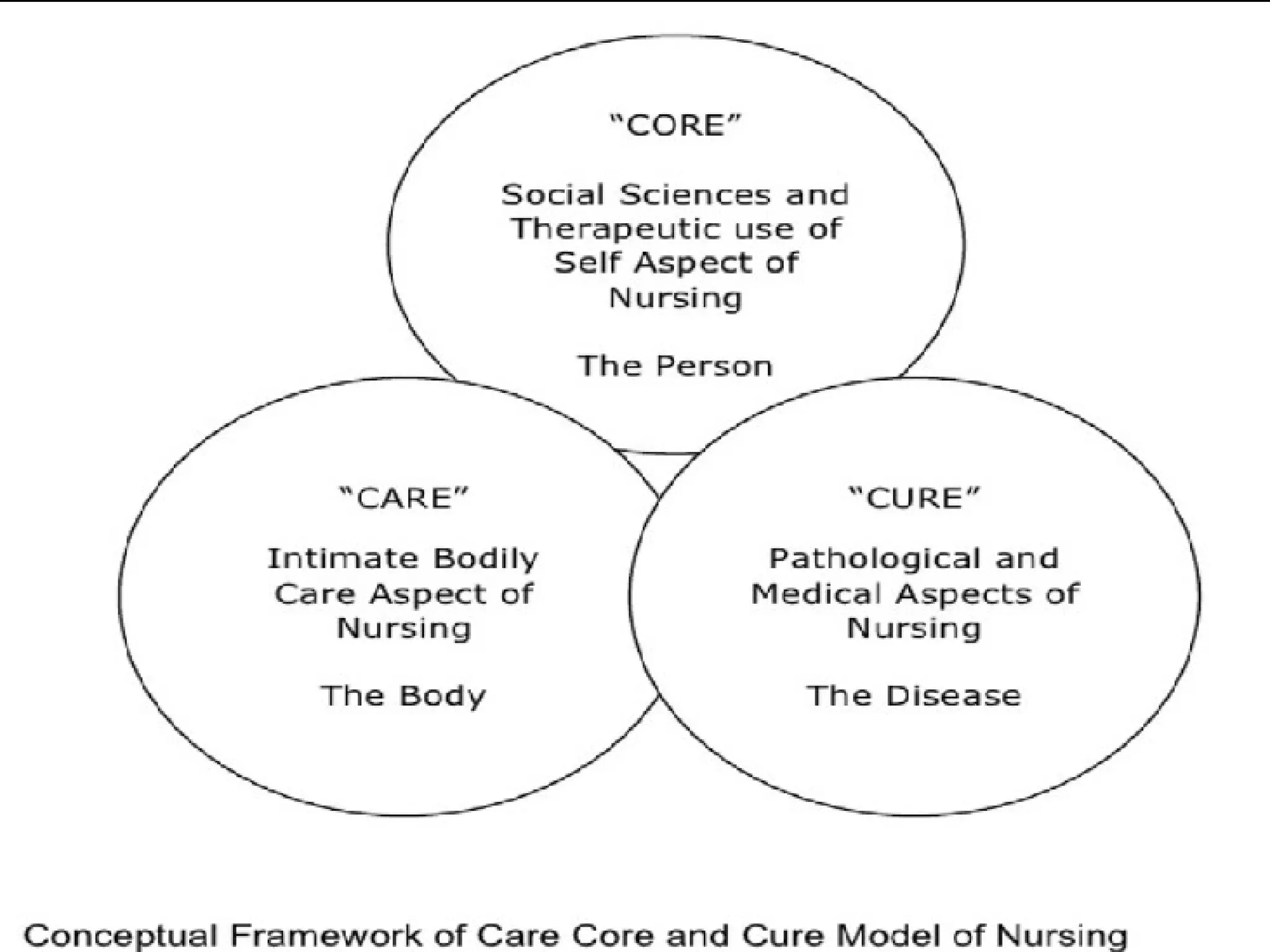 Lydia hall (core, care & cure) nursing theory | PPS