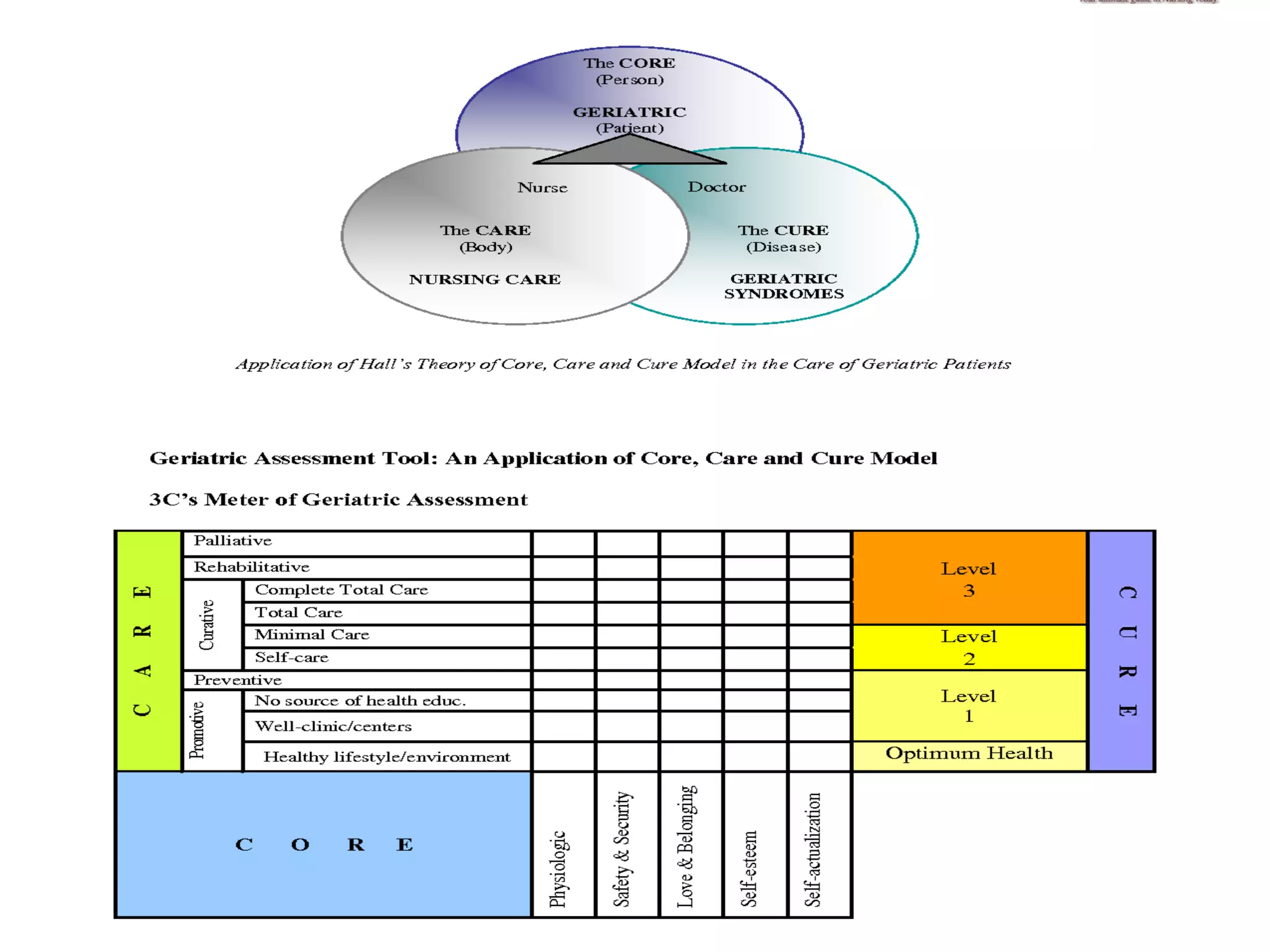 Lydia hall (core, care & cure) nursing theory | PPS