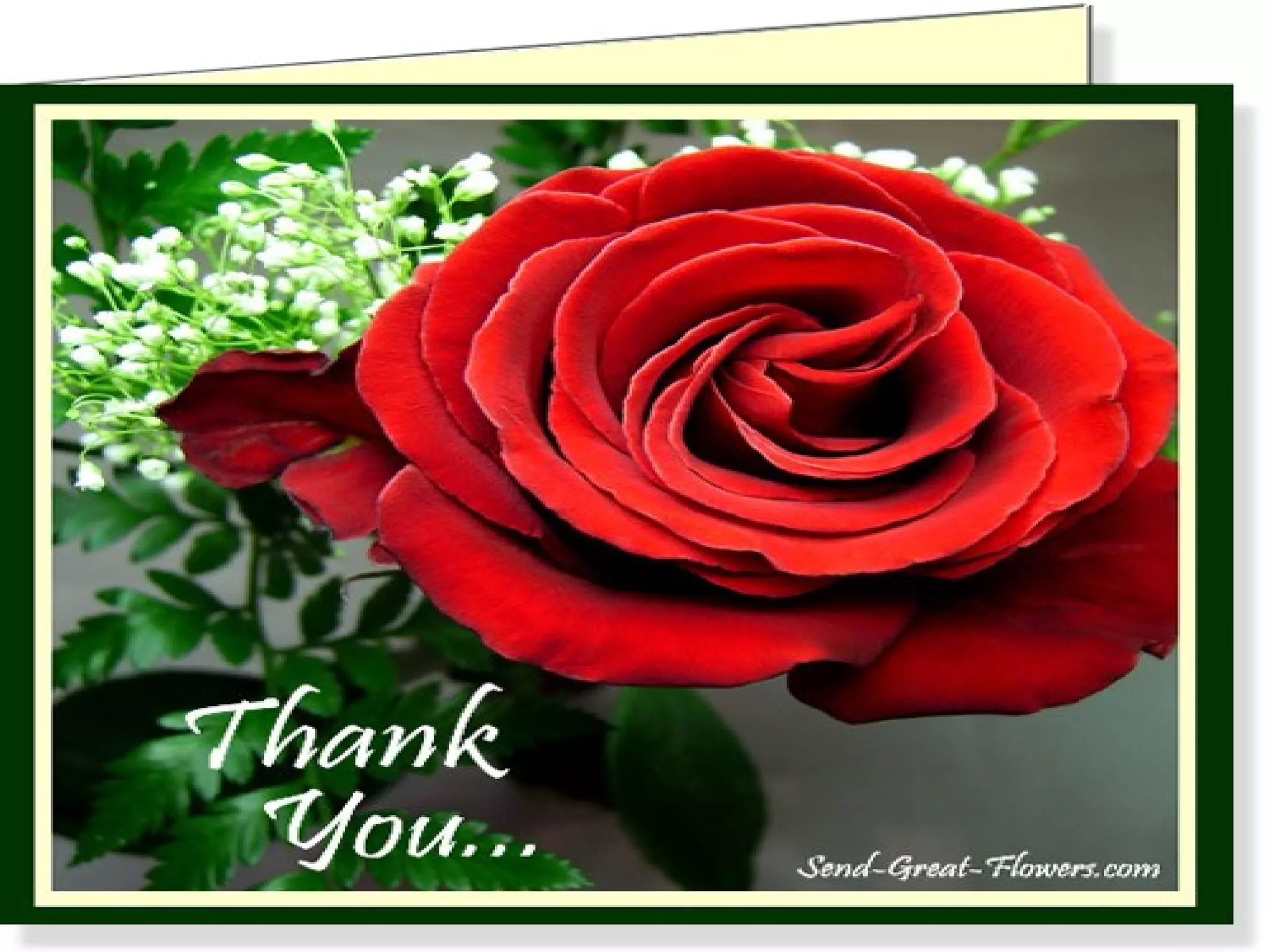 Lydia hall (core, care & cure) nursing theory | PPS