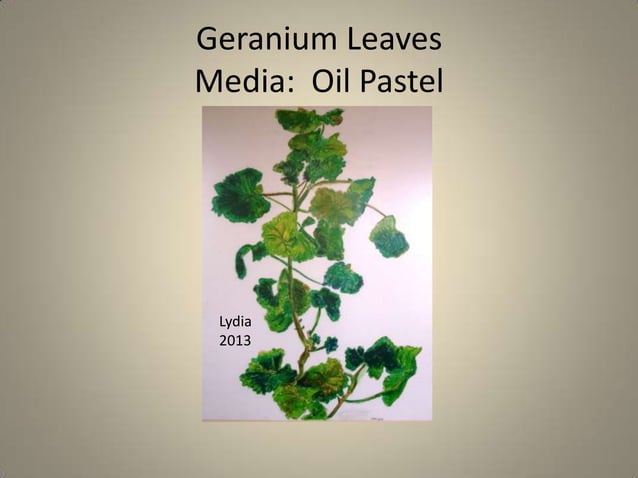 Lydia J gates Visual Arts Portfolio | PPT