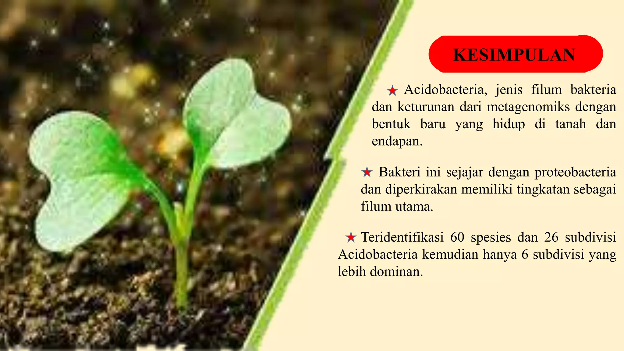 PPT Diversitas Acidobacter [Biologi] | PPTX