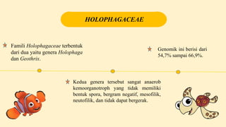 PPT Diversitas Acidobacter [Biologi] | PPTX