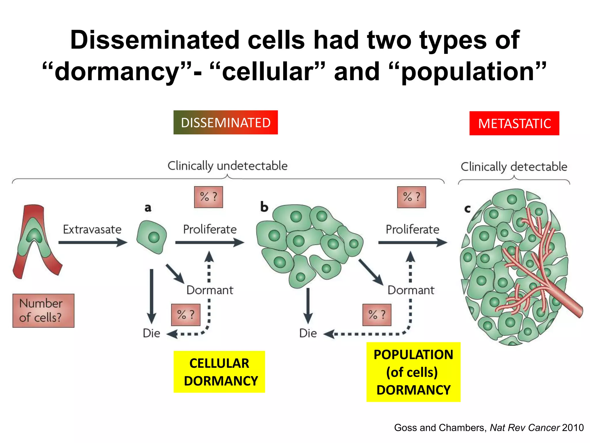 Tumor Dormancy | PPTX