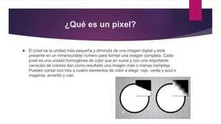 La imagen digital pixel vs vector | PPTX