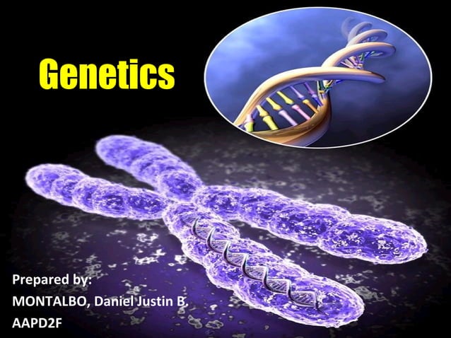 taboo genetics lec ppt | PPT | Genetics | Science