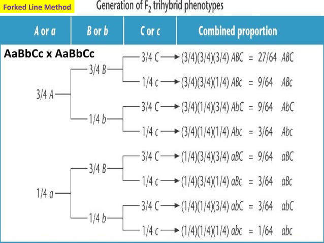taboo genetics lec ppt | PPT | Genetics | Science