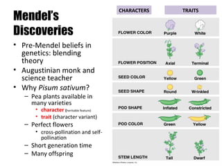 taboo genetics lec ppt | PPT