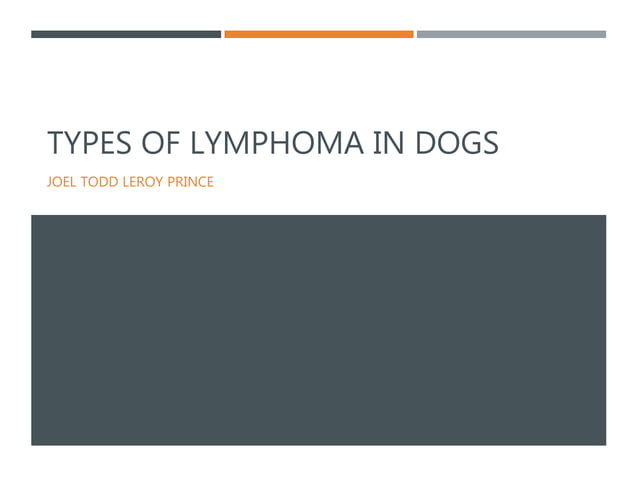 Types of Lymphoma in Dogs | PPTX | Dogs | Pets