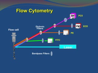 Lyme disease-antigen-test-flow-cytometry | PPT
