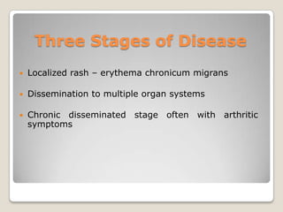 Lyme Disease | PPT