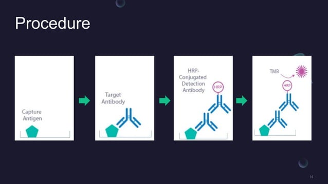 Lyme disease ELISA test | PPT