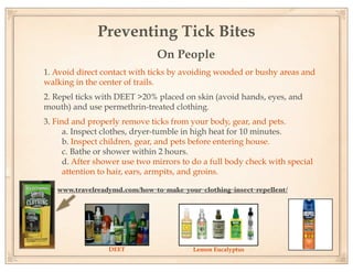 Lyme disease prevention, diagnosis and treatment | PDF