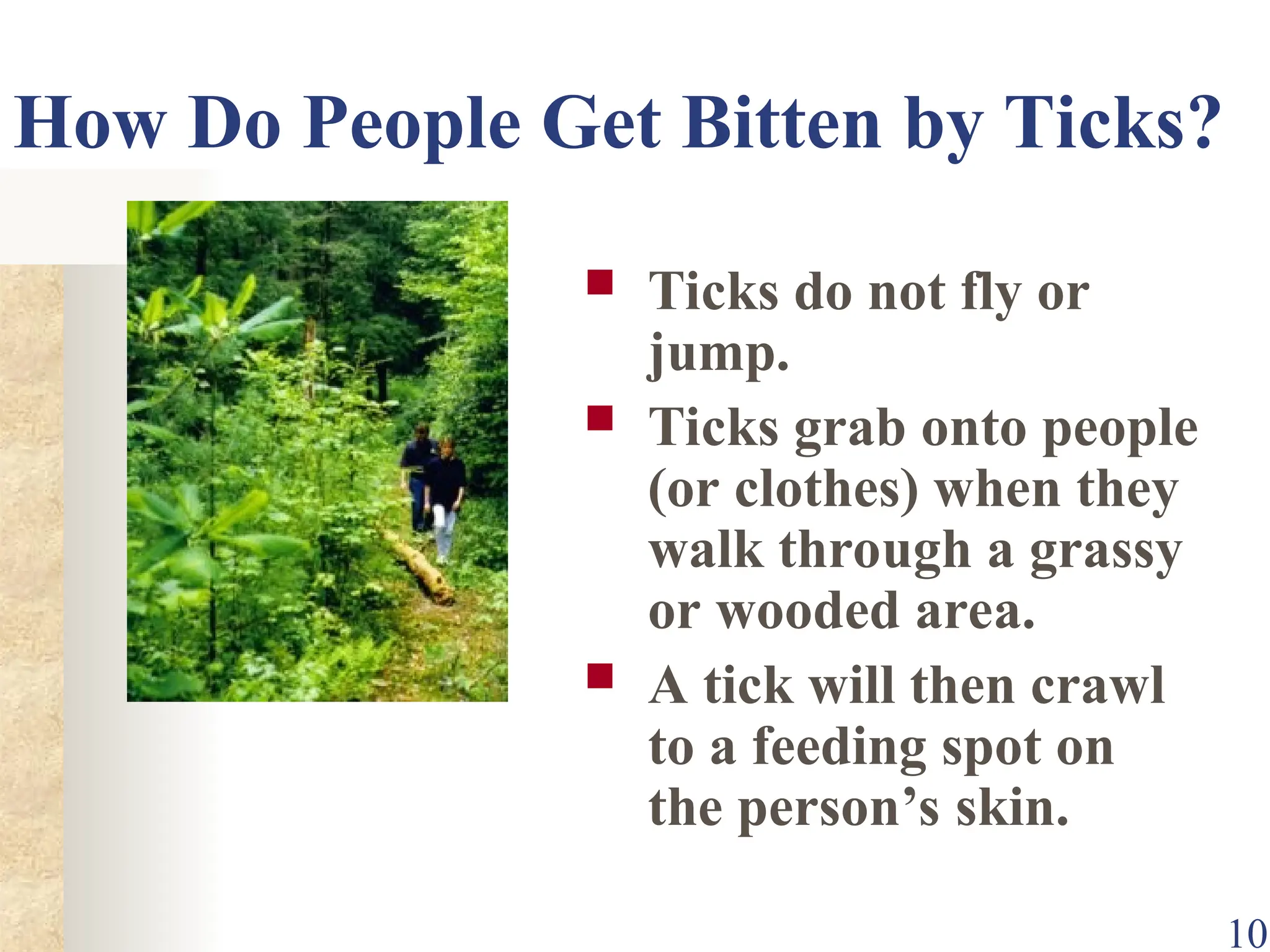 Lyme PPT for Teachersv for education only.ppt