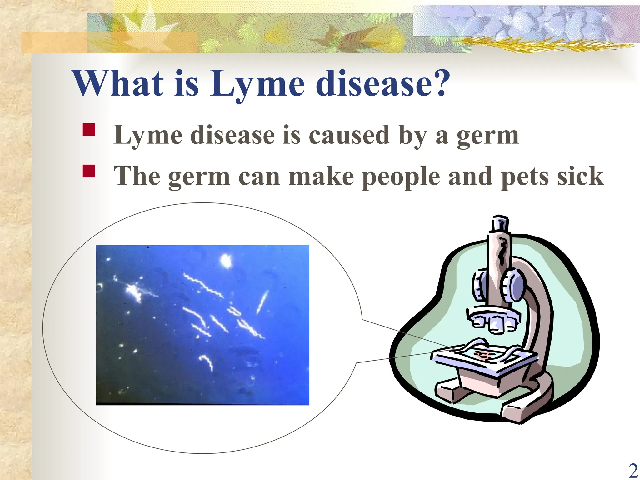 Lyme PPT for Teachersv for education only.ppt
