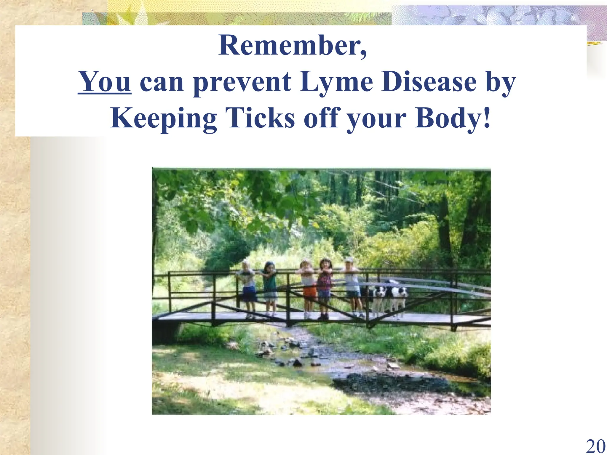 Lyme PPT for Teachersv for education only.ppt