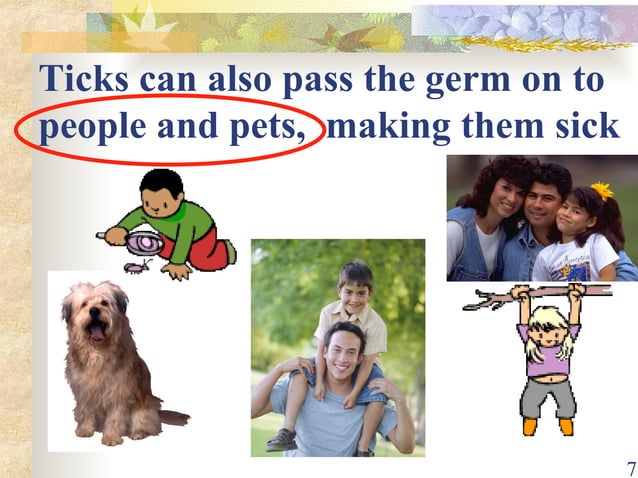 Lyme PPT for Teachers - Lessons on Prevention | PPT