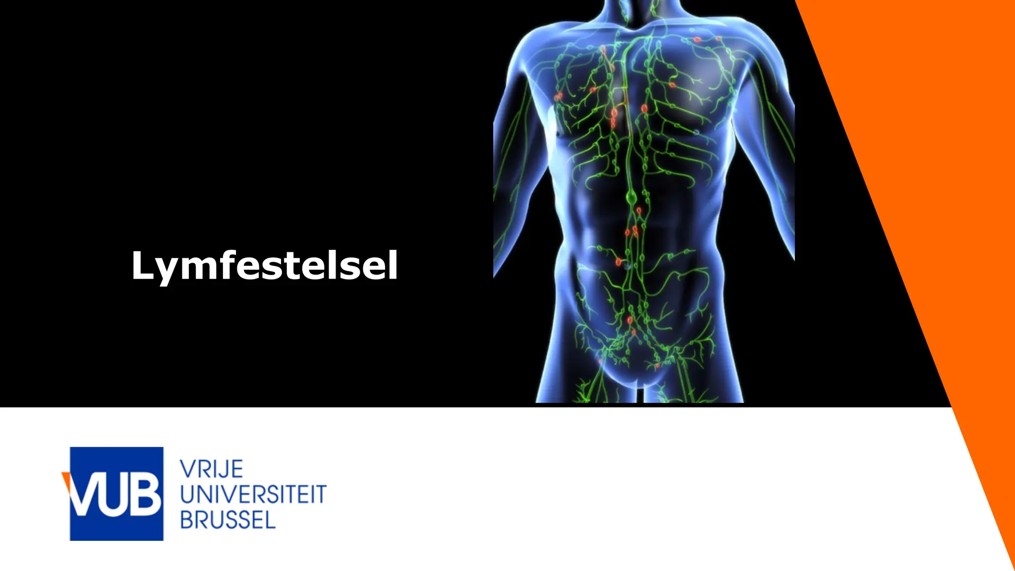 Lymfe 2 van 1ste bach biomedi anatomiepdf | PDF
