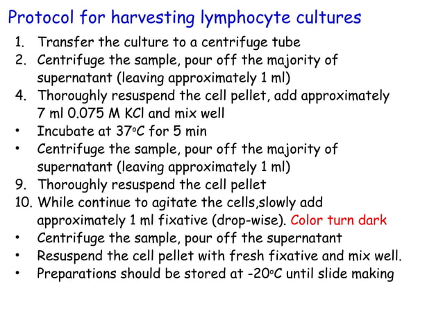 Standard Lymphocyte Culture | PPT