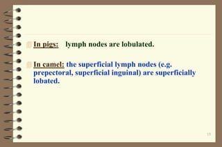Lympatic system (2).ppt