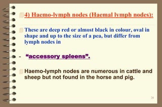 Lympatic system (2).ppt