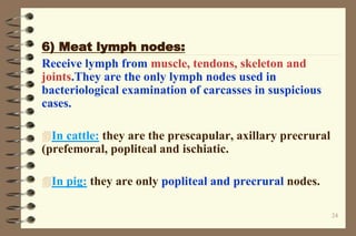 Lympatic system (2).ppt