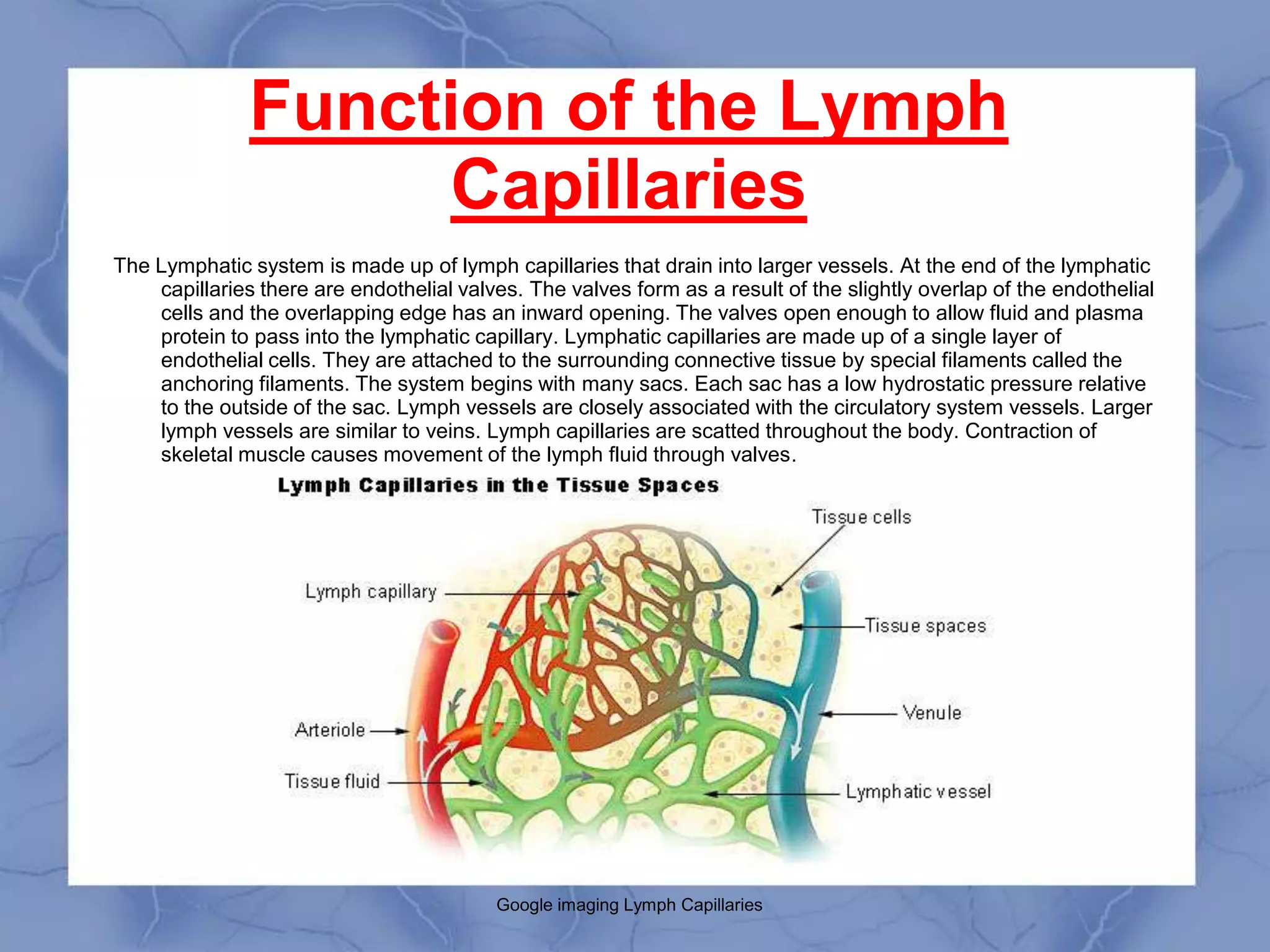Lymph | PPTX