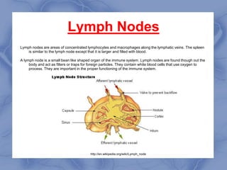 Lymph | PPTX