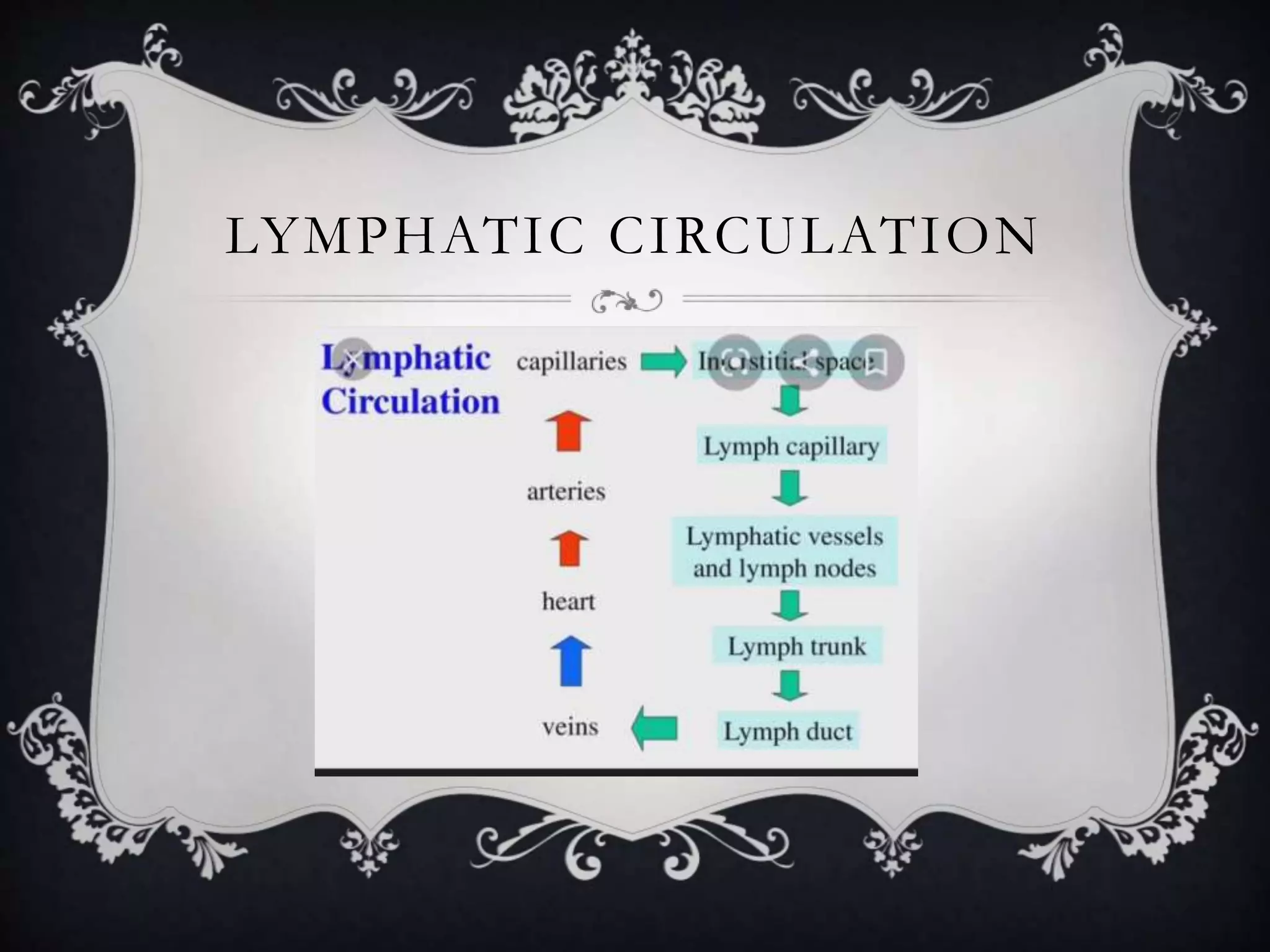 Lymph Lymph Circulation Function Lymph Notes Ppt