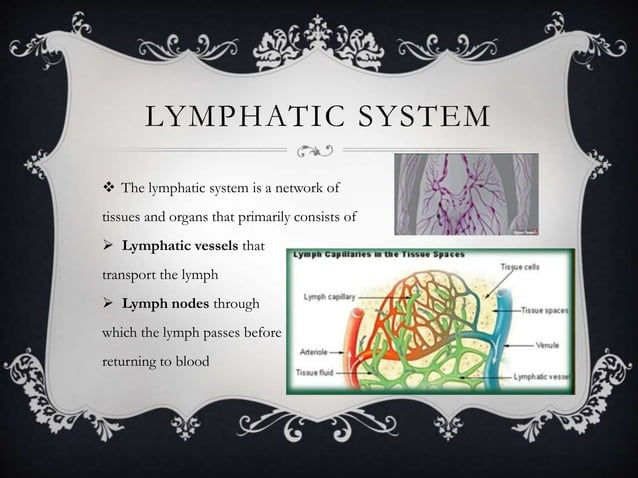 Lymph , lymph circulation, function , lymph notes | PPT