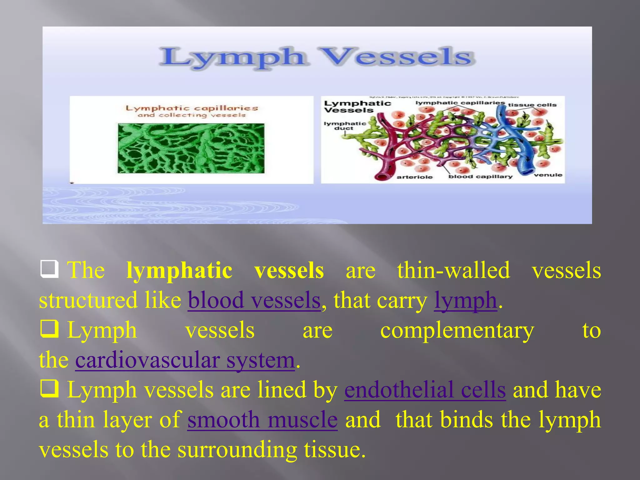 Lymph composition | PDF