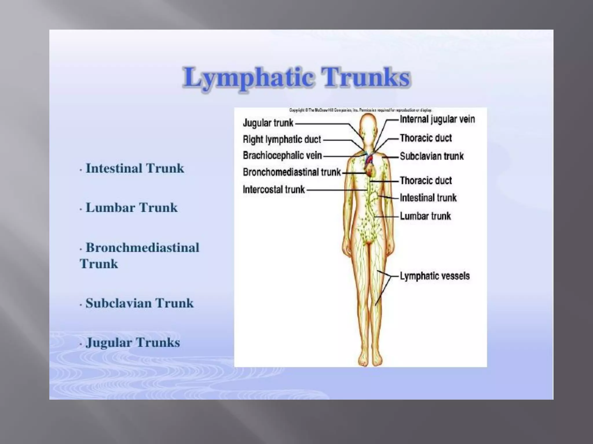 Lymph composition | PDF