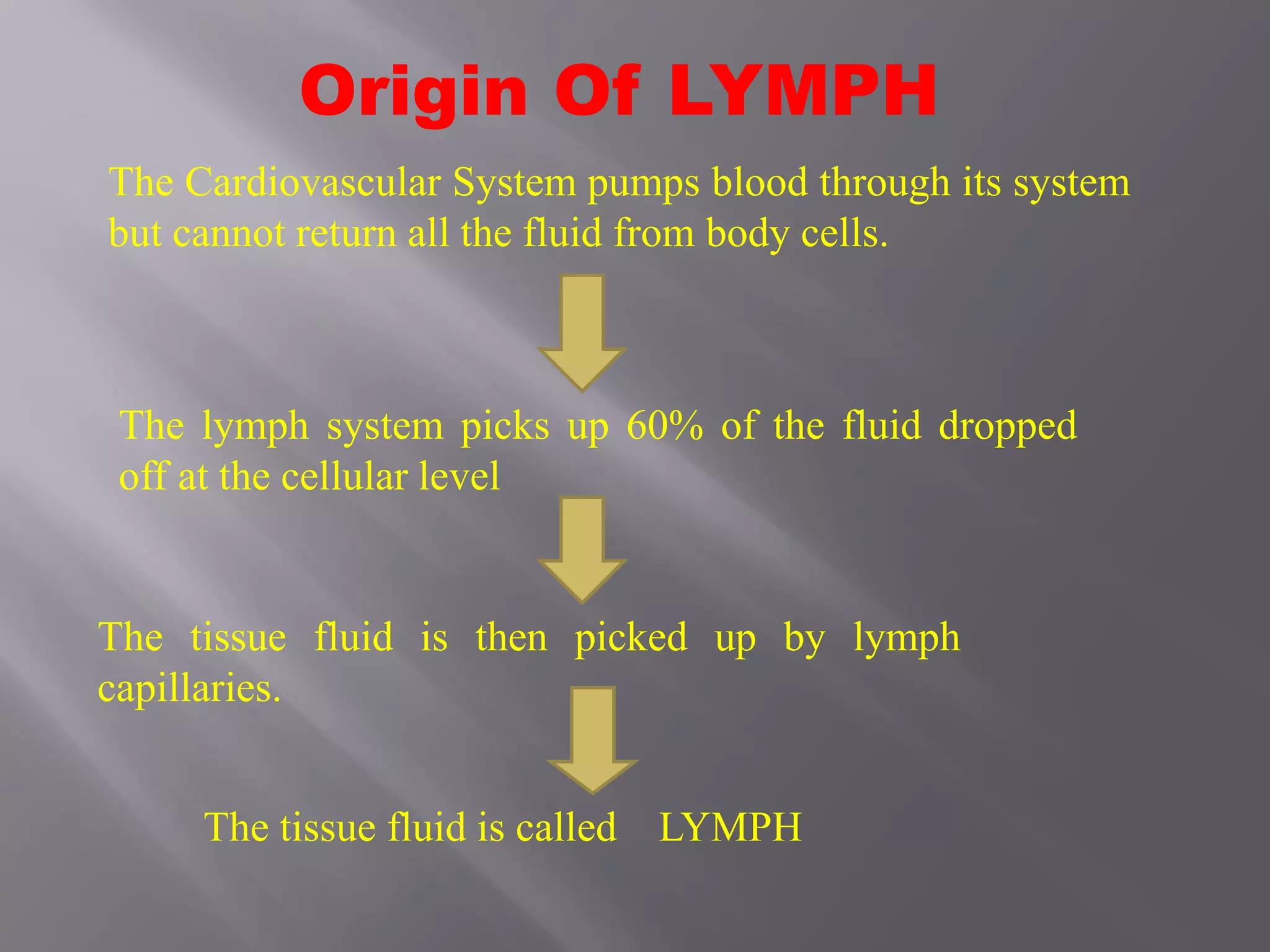 Lymph composition | PDF
