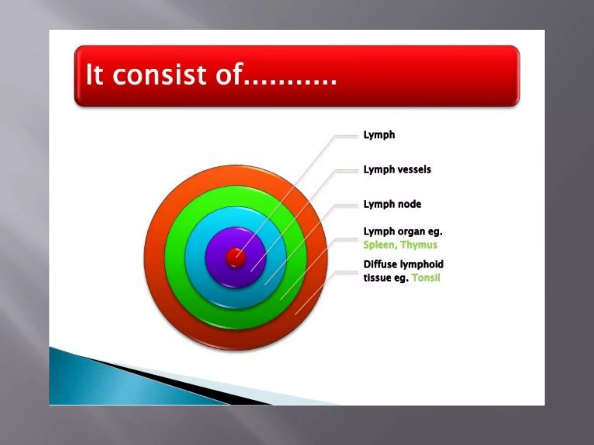 Lymph composition | PDF