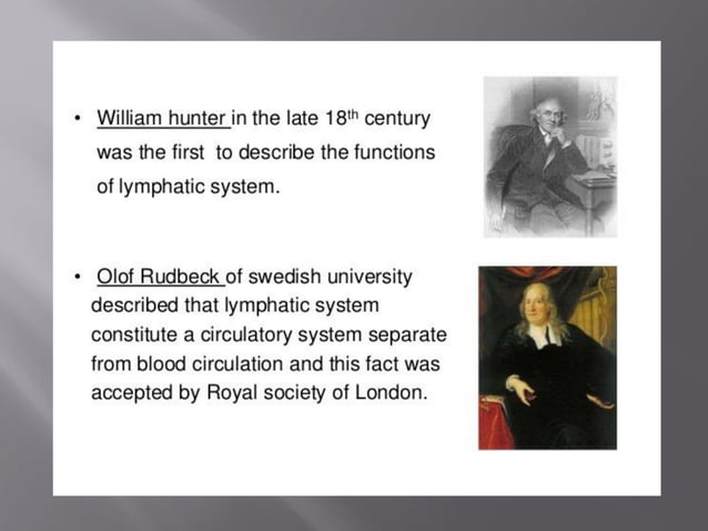 Lymph composition | PDF | Biological Sciences | Science