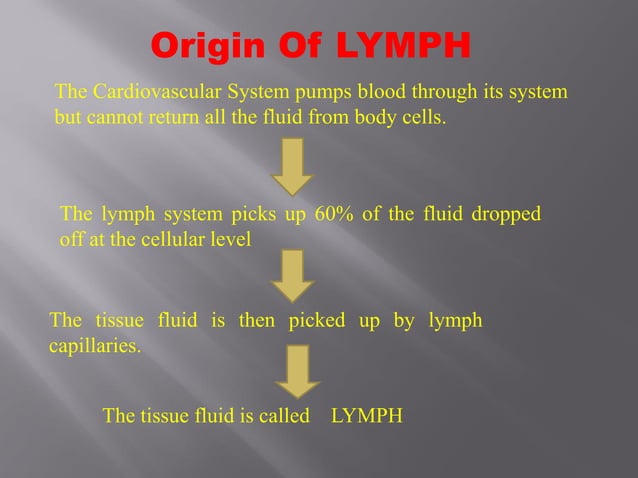 Lymph composition | PDF | Biological Sciences | Science