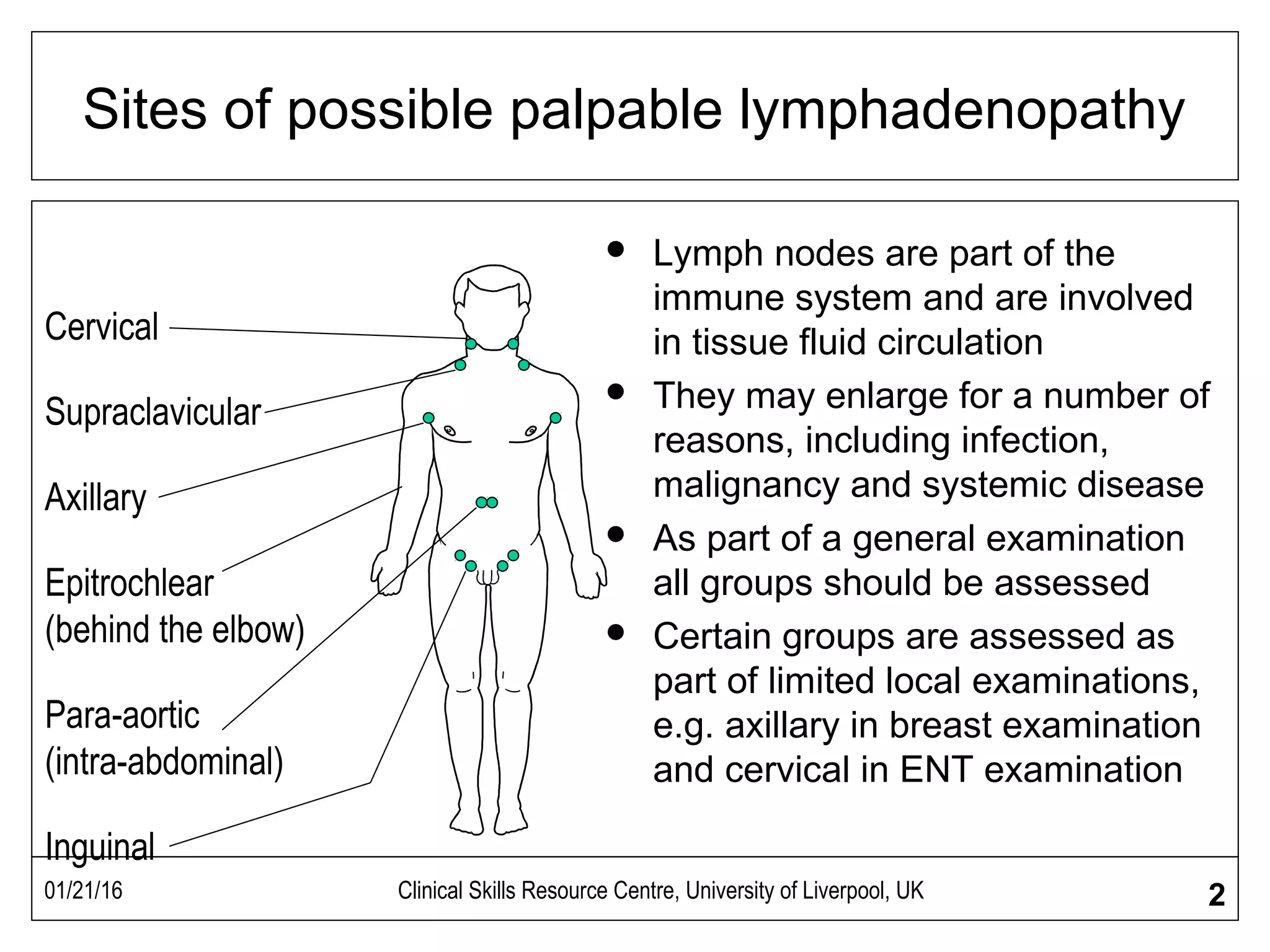 Lymph Node Examination | PPT